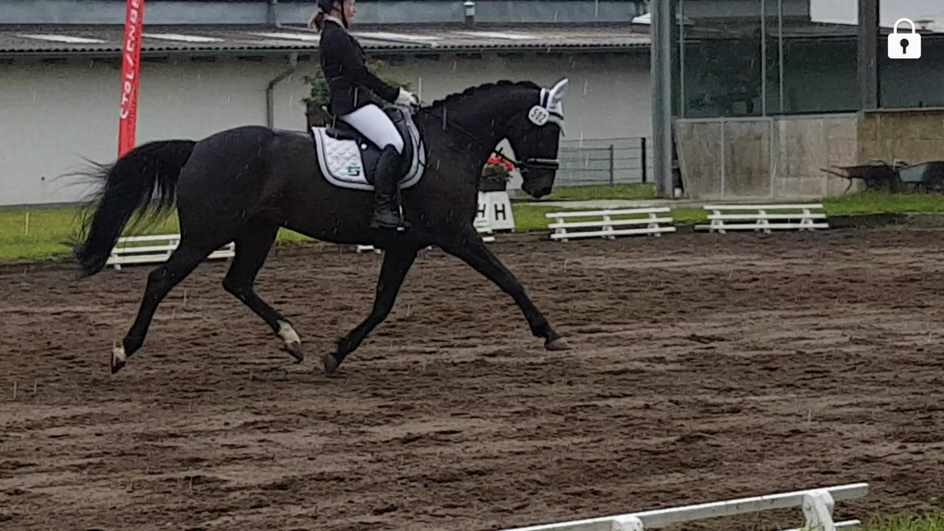 Nicole Trapp - Bilder | Sponsoo